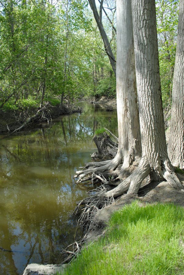 Riverside stock photo. Image of water, country, green - 31049818