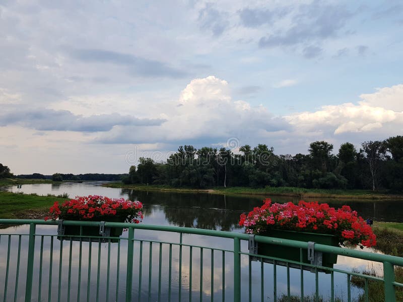 Riverside view and flowers stock photo. Image of flow - 193433066