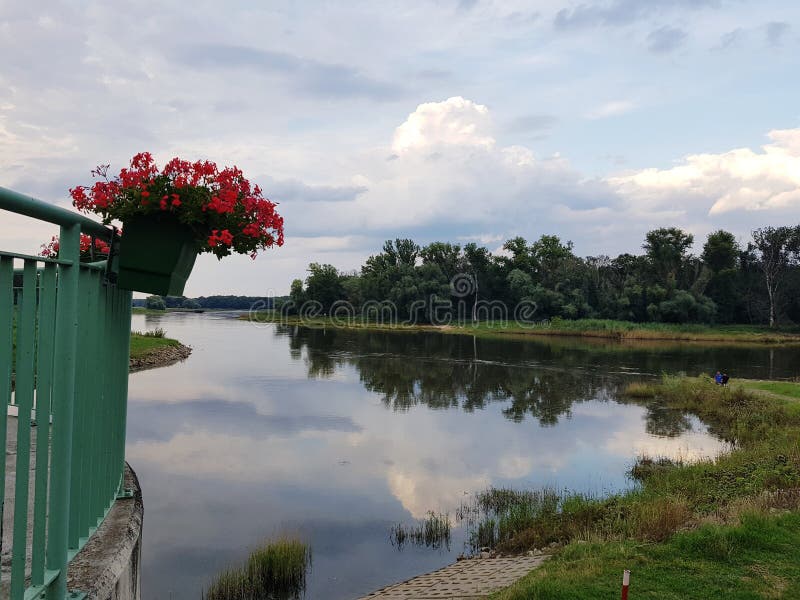 Riverside view and flowers stock image. Image of flower - 193433075