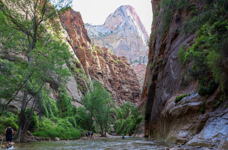 Riverside Walk Zion Natiobal Park Utah Editorial Photography - Image of ...