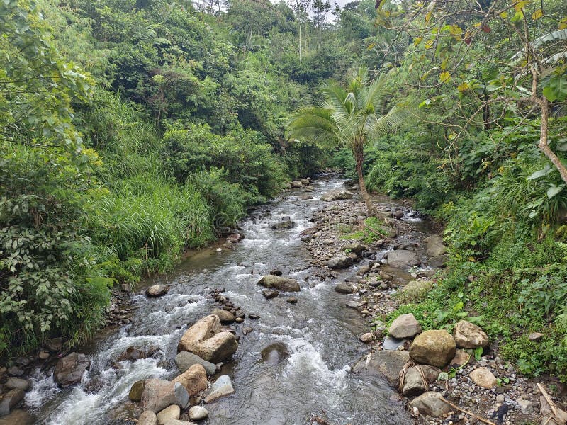 Riverstream on a Upstream stock photo. Image of riverstream - 266181066