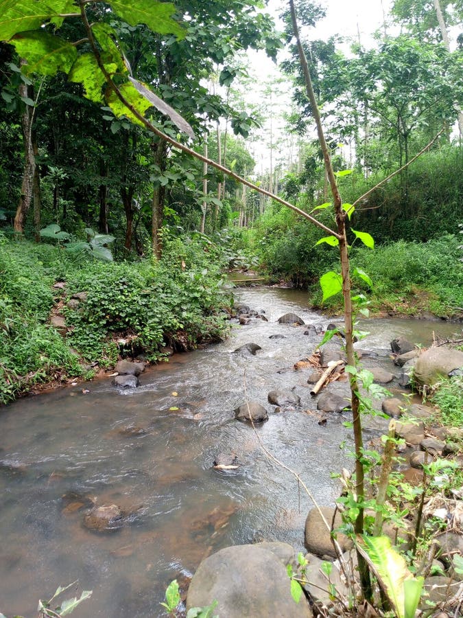 Niews Inthe Village Stock Photos - Free & Royalty-Free Stock Photos ...