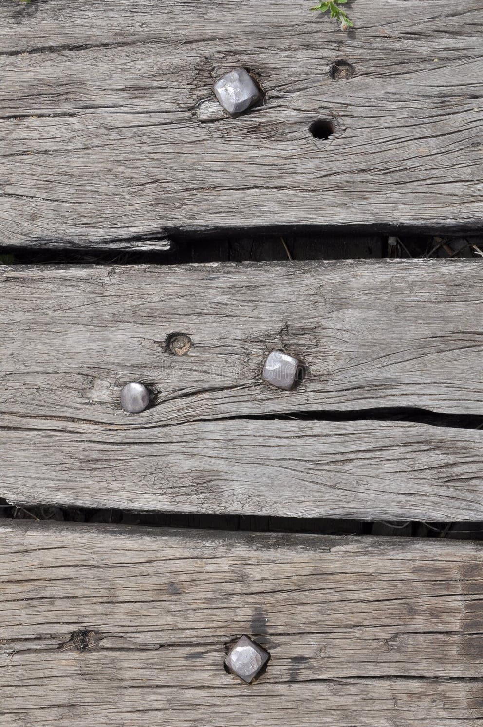 Rivet on old wooden stock photo. Image of metallic, aged - 15087130