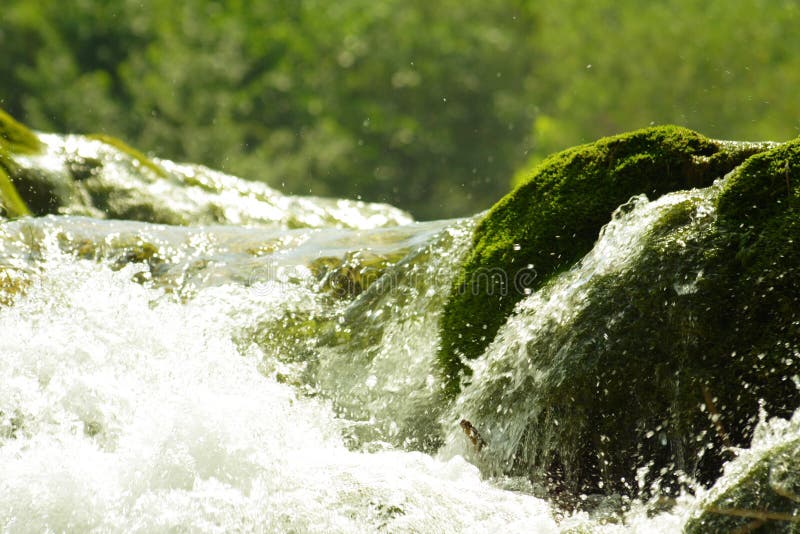 Rivierloop in hoge bergen stock foto. Image of hout, nave - 6413722