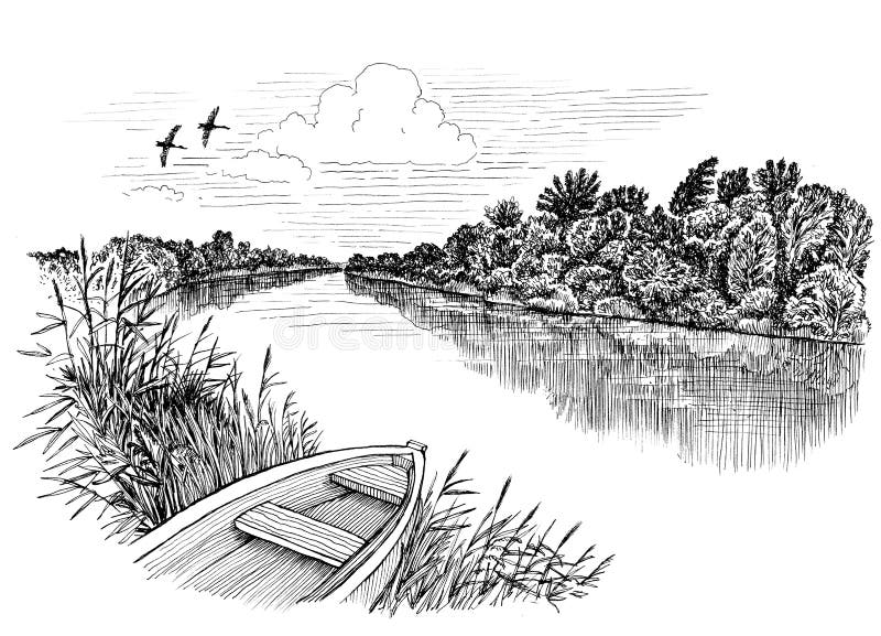 Bank Van De Rivier of Het Moeras Met Riet En Cattail Schetsmatige Stijl ...