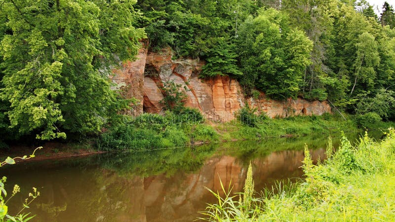 Groene bos en rivier stock foto. Image of zomer, blauw - 56908730