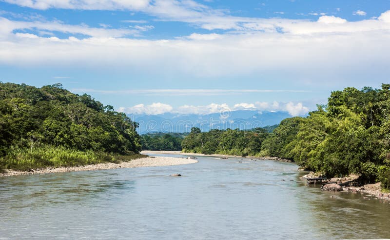 Rivier De Uit De Amazone Van Regenwoudmisahualli Ecuador Stock Foto ...