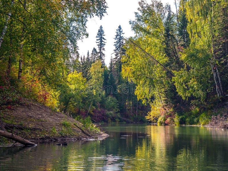 Rivier in het bos stock foto. Image of berk, gras, kleurrijk - 38119046