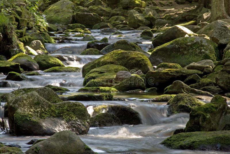 Landschap Met Een Rivier in Bohemen Stock Afbeelding - Image of hout ...