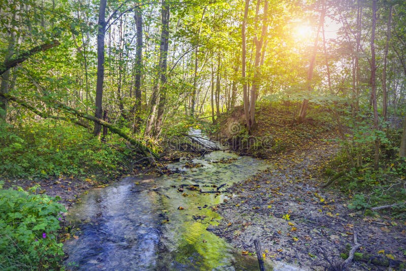 Rivier in mooi bos stock foto. Image of plons, rots, berg - 14534364