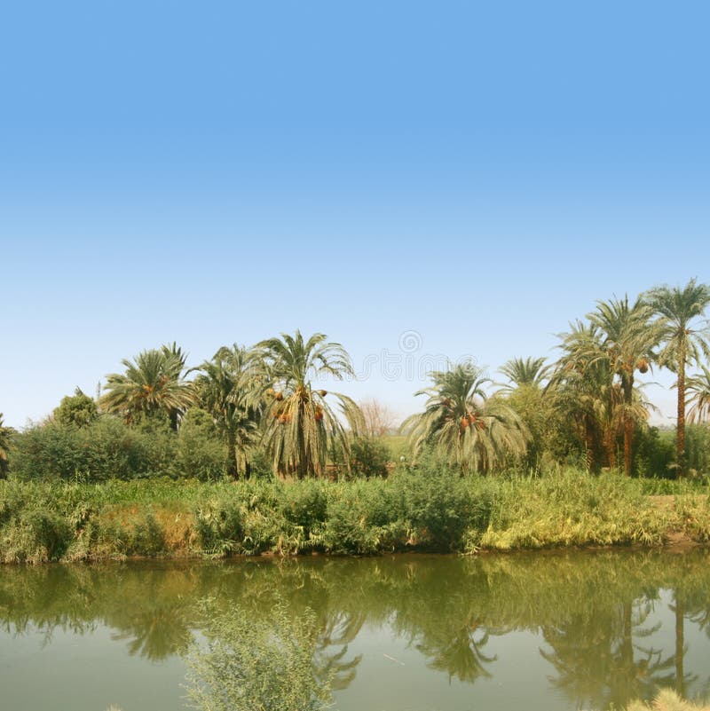 Rivier Nijl in Egypte stock foto. Image of zomer, gebied - 23330616