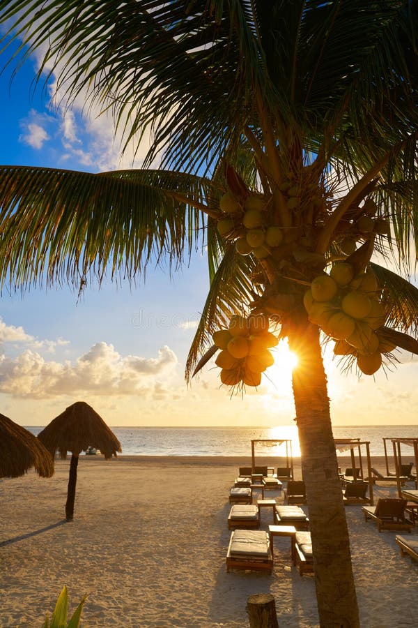 Riviera Maya Sunrise Beach in Mexico Stock Photo - Image of dawn ...