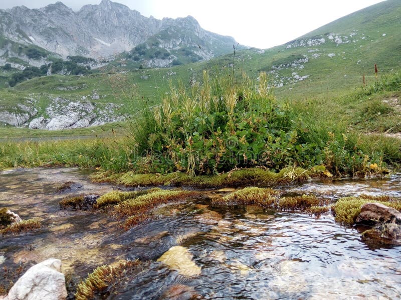 Of the rivulet stock image. Image of rivulet, rocks - 178174983