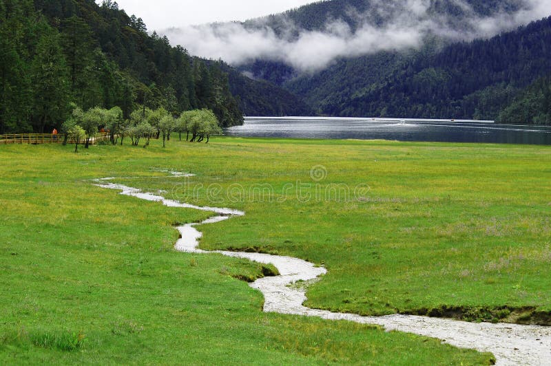 Rivulet stock image. Image of lakeside, green, water, grass - 7081759