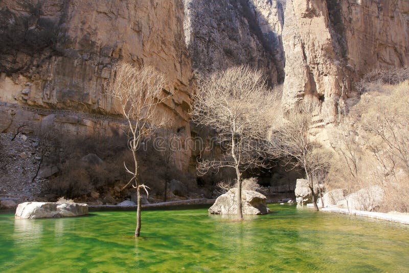 10,216 Rivulet Stock Photos - Free & Royalty-Free Stock Photos from ...