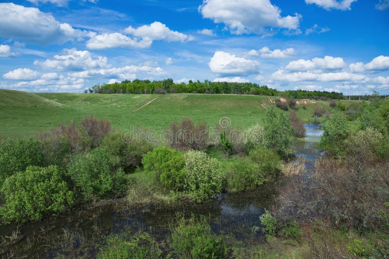 Rivulet in the countryside stock image. Image of rural - 83904261