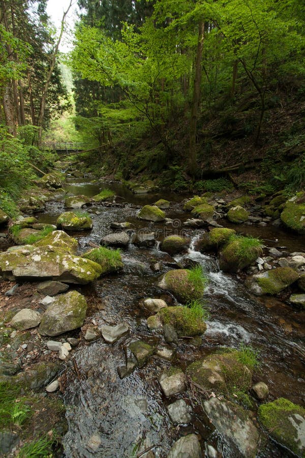 Rivulet stock image. Image of beautiful, water, daylight - 76465889