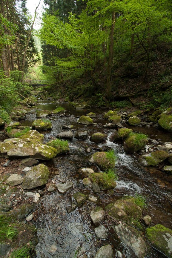 Rivulet stock image. Image of beautiful, water, daylight - 76465889