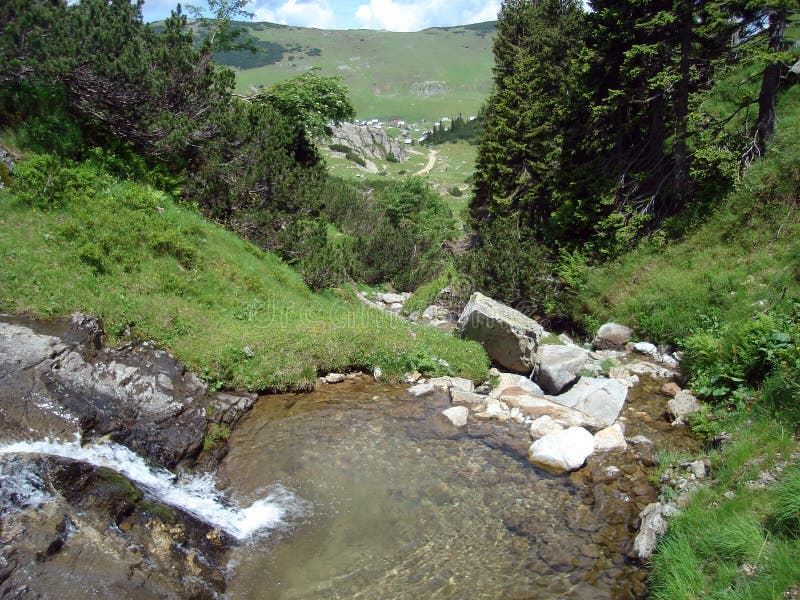 Rivulet in Mountain, Bosnia Stock Image - Image of hiking, clean: 4312711