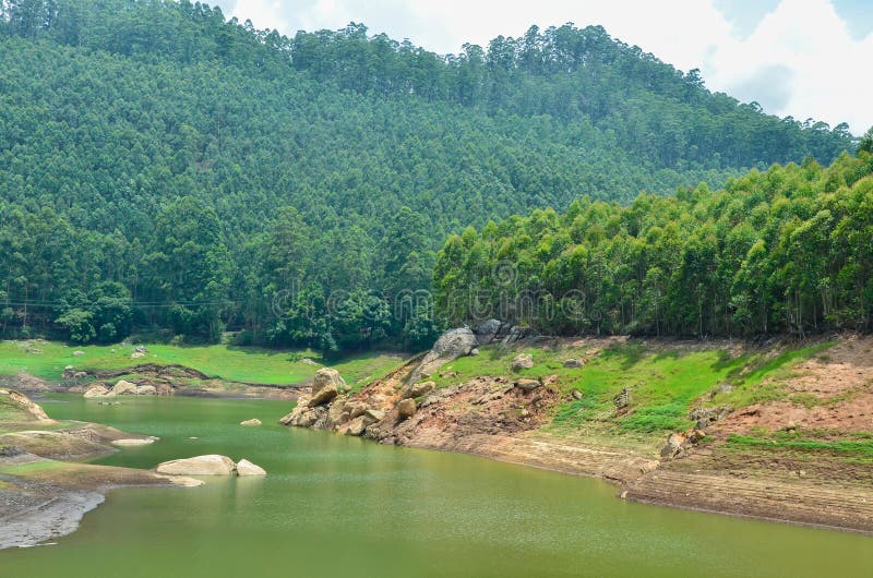 A rivulet on Munnar hills stock image. Image of scenery - 272553275