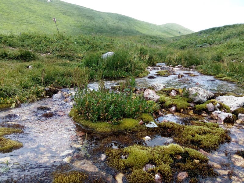 Of the rivulet stock photo. Image of caucasus, rivulet - 177038798