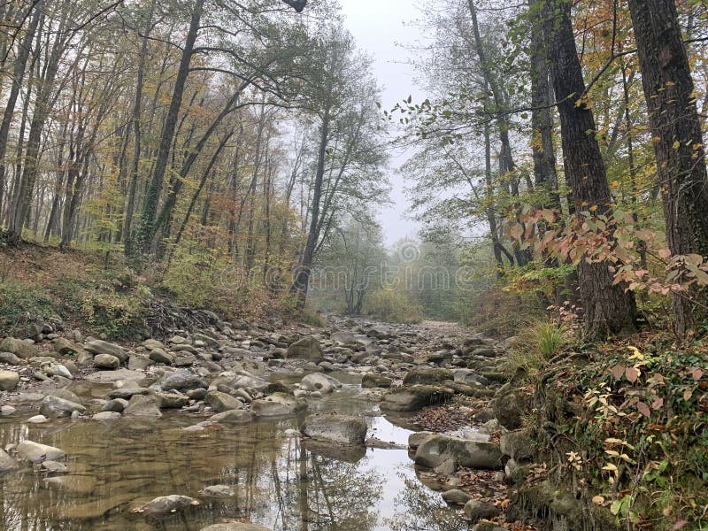 Rivulet stock photo. Image of nature, clouds, water - 171669496