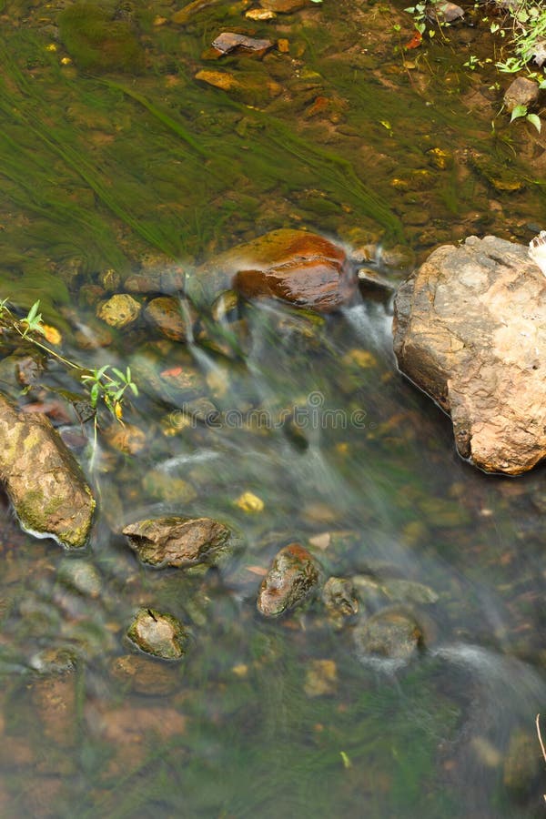 Rivulet. stock image. Image of botany, east, daylight - 35109165