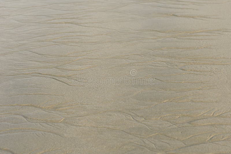 Rivulets of Water Draining through the Sand on the Beach Stock Image ...