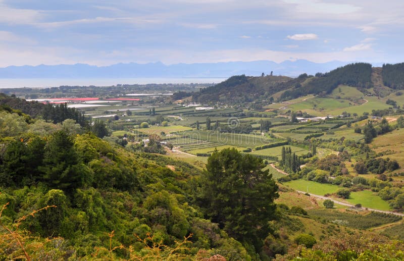 Riwaka Valley, New Zealand stock image. Image of mapua - 17662853