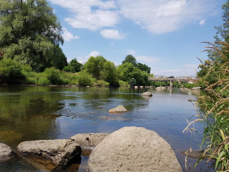 Riwer editorial photo. Image of nature, forest, riwer - 99071076