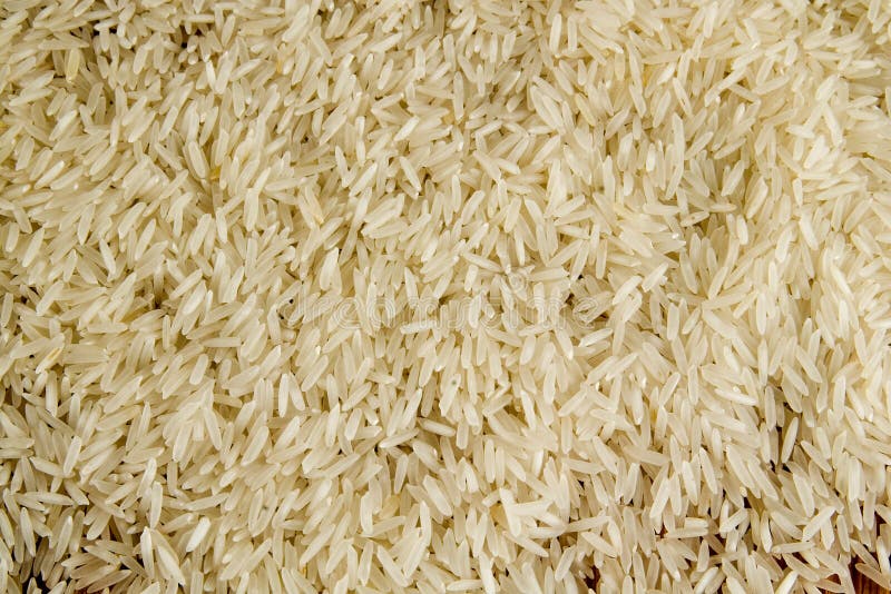 Riz photo stock. Image du grain, ingrédient, collecte - 3877780