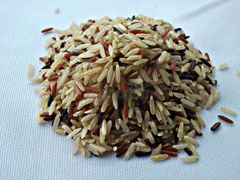 Riz image stock. Image du fermer, culture, végétarien - 60719341