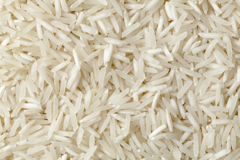 Riz basmati cru photo stock. Image du organique, variété - 57299374
