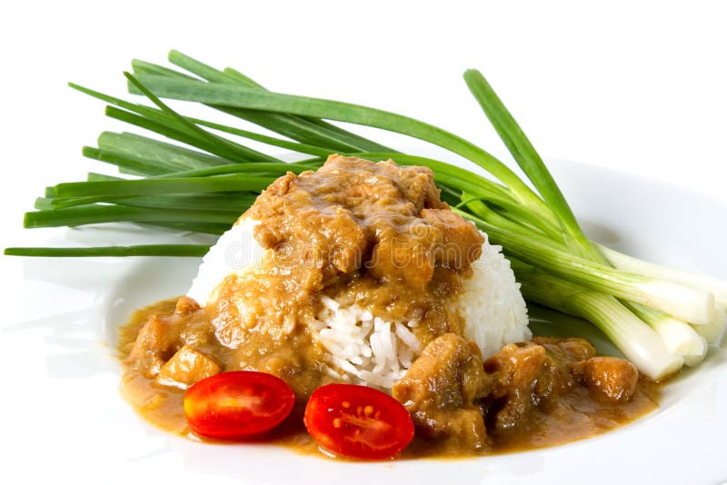 Riz Avec Le Ragoût De Poulet Image stock - Image du vert, oignon: 30039769