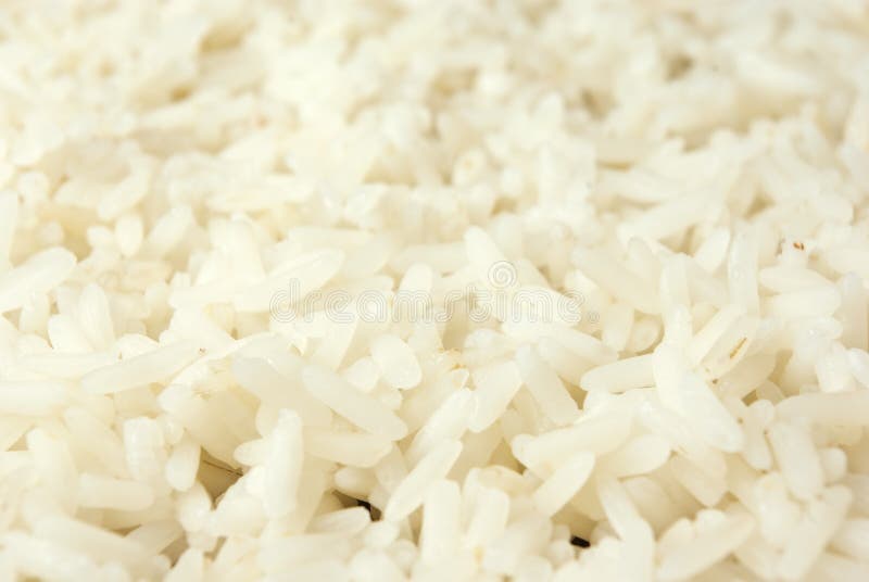 Riz bouilli photo stock. Image du repas, cuit, nourriture - 32199220