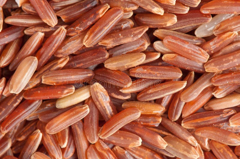 Riz brun image stock. Image du nature, fond, toujours - 19976251