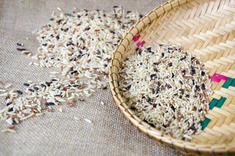 Riz brun de grain entier image stock. Image du organique - 36581623