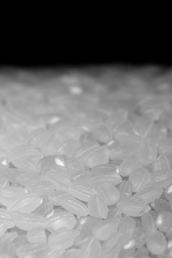 Riz cru image stock. Image du blanc, frais, nourriture - 52424355
