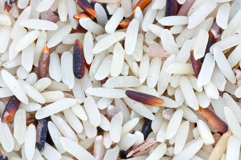 Riz de jasmin photo stock. Image du dîner, déjeuner, santé - 19605288