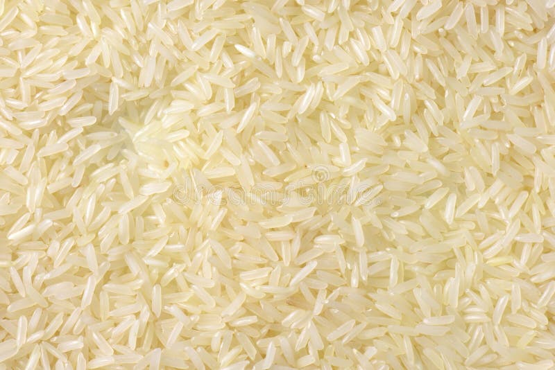 Riz cru de jasmin photo stock. Image du projectile, accompagnement ...