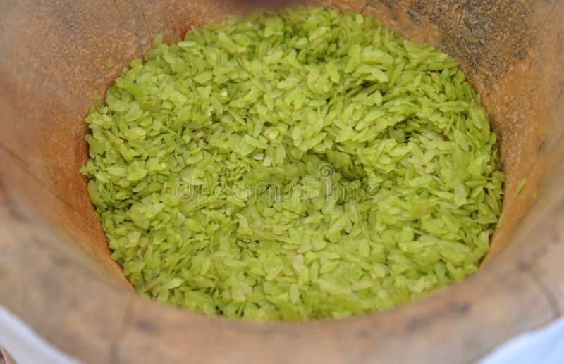 Dessert vert de riz image stock. Image du culture, bambou - 69554247