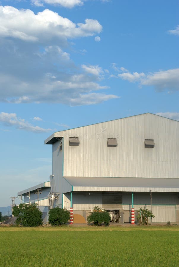 Rizerie image stock. Image du usine, texture, graines - 41472587