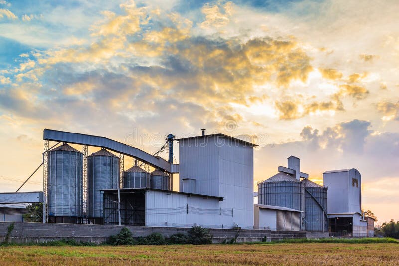 Rizerie image stock. Image du usine, texture, graines - 41472587