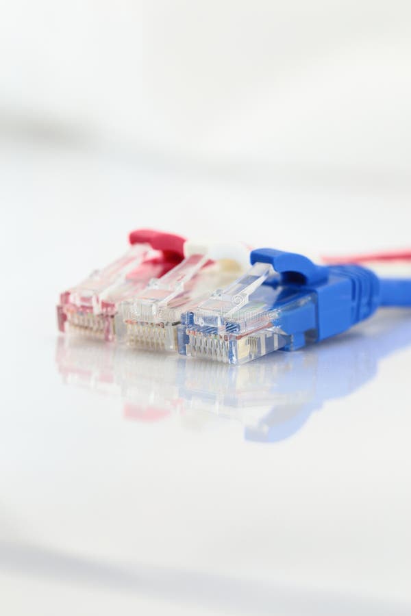 RJ45 plug with cable stock photo. Image of plug, click - 773544