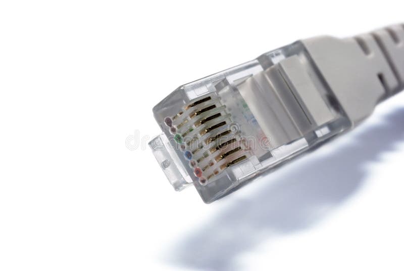 RJ45 Connector On White Background. Picture Image: 6843061