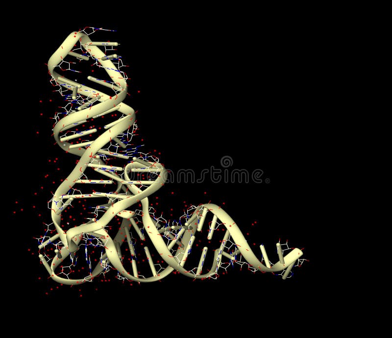 Trna Stock Illustrations – 179 Trna Stock Illustrations, Vectors ...