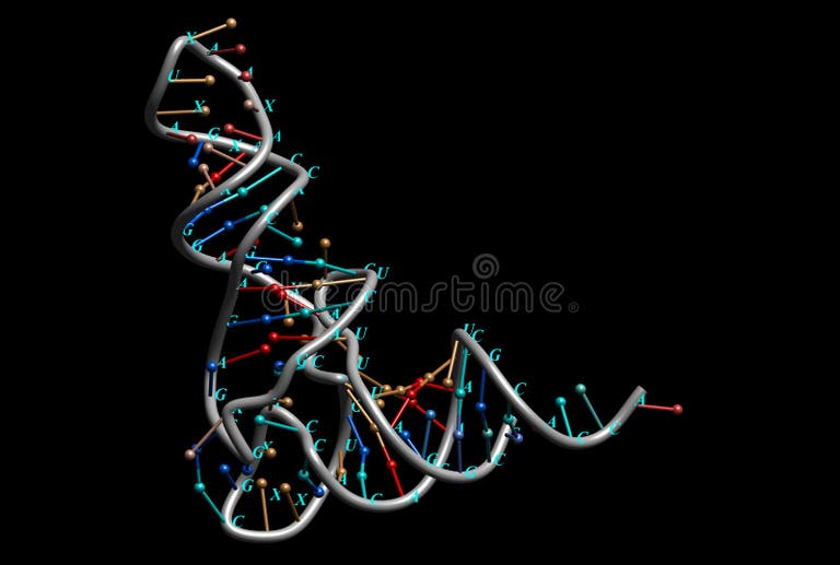 Trna Stock Illustrations – 180 Trna Stock Illustrations, Vectors ...