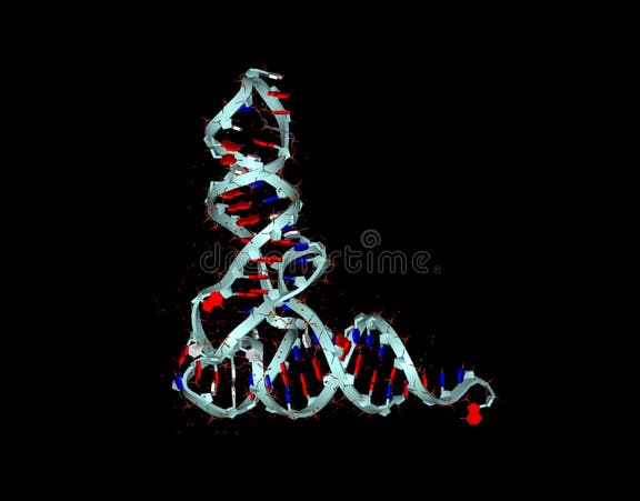 Trna Stock Illustrations – 179 Trna Stock Illustrations, Vectors ...