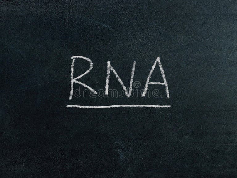 RNA concept word stock photo. Image of text, concept - 337926770
