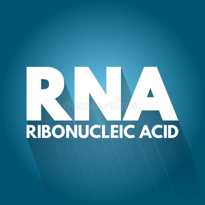 RNA Ribonucleic Acid - Polymeric Molecule Essential in Various ...